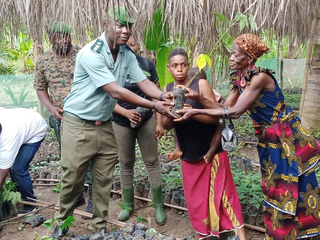 Reforest, Afforest, Restore – FarmStrong